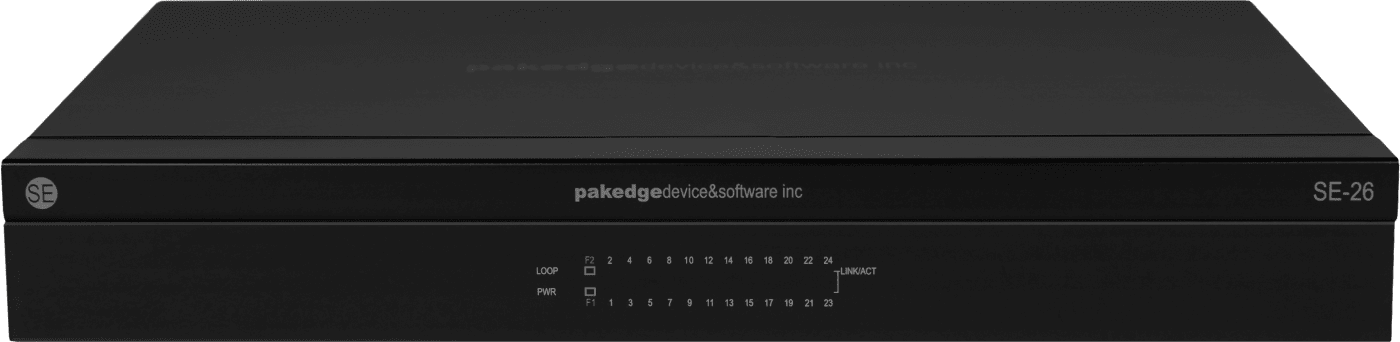 Pakedge Se Series 24 Port Sw PK-SE2 - Amber Tech