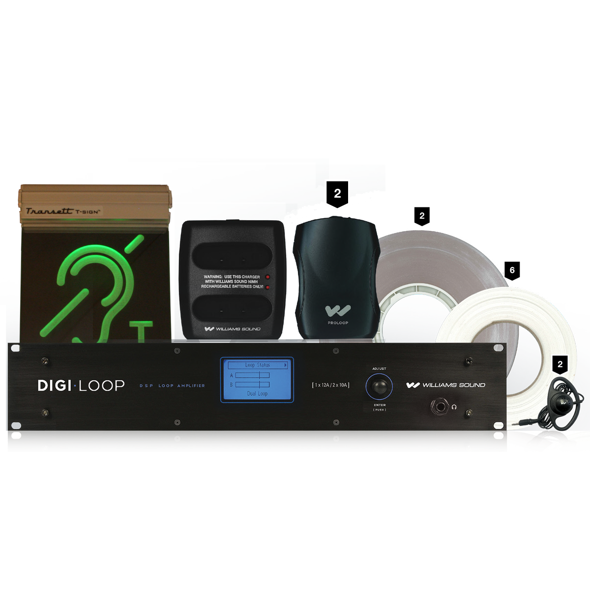 Digi-Loop Loop Amp System With Dsp DL210SYS22 - Amber Tech