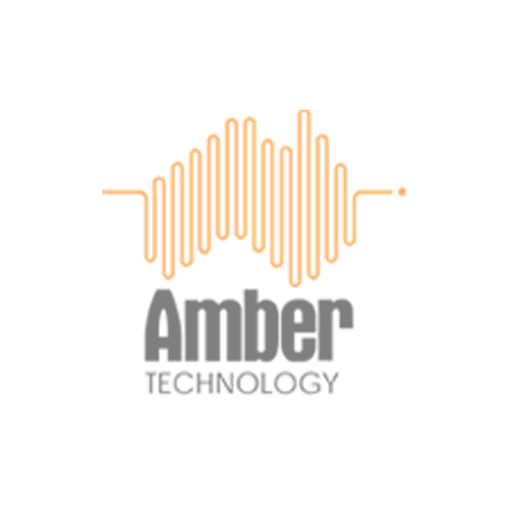 Digi-Loop Counter Hearing Loop DL10 - Amber Tech