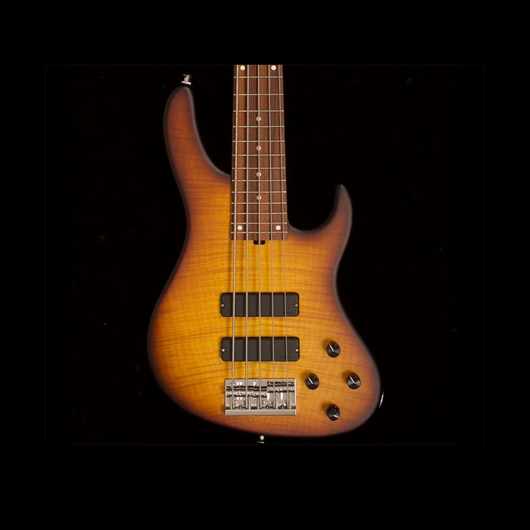Sadowsky Bass Guitars - Amber Tech